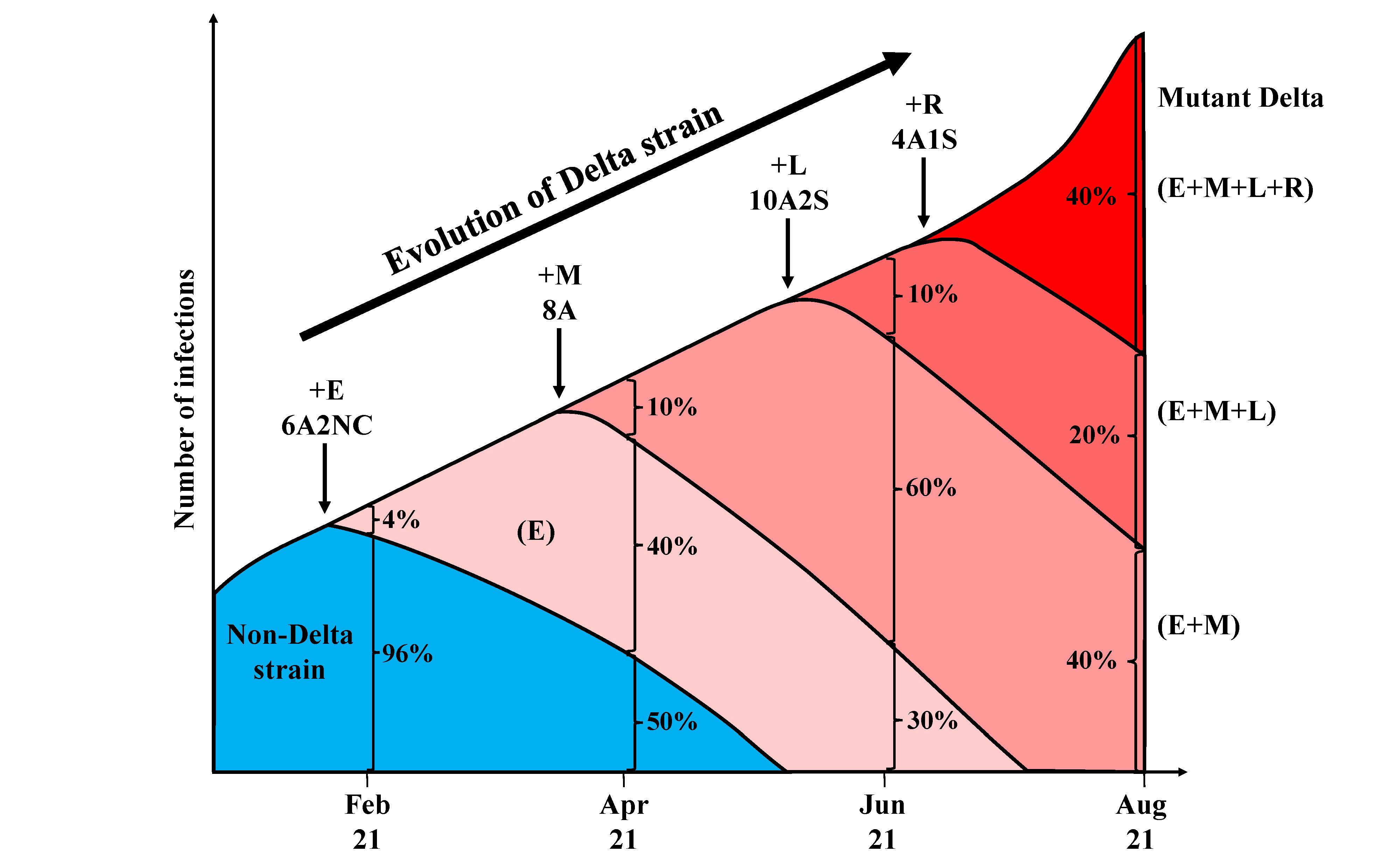 The runaway evolution of SARS-CoV-2 leading to the highly evolved Delta ...