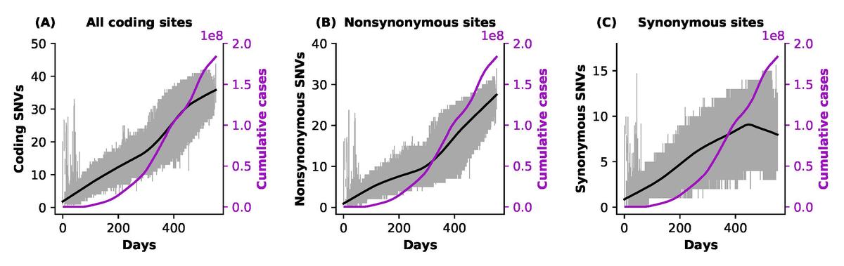 The runaway evolution of SARS-CoV-2 leading to the highly evolved Delta ...